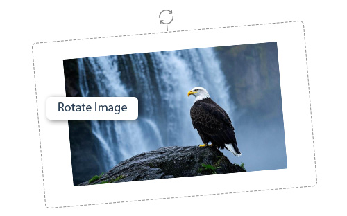 Online Image Rotator for FREE! || Resize The Image