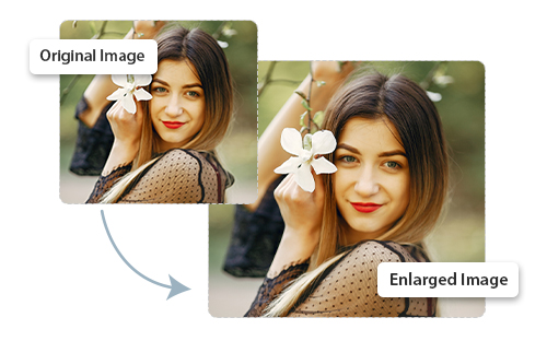 Online Image Enlarger for FREE! || Resize The Image